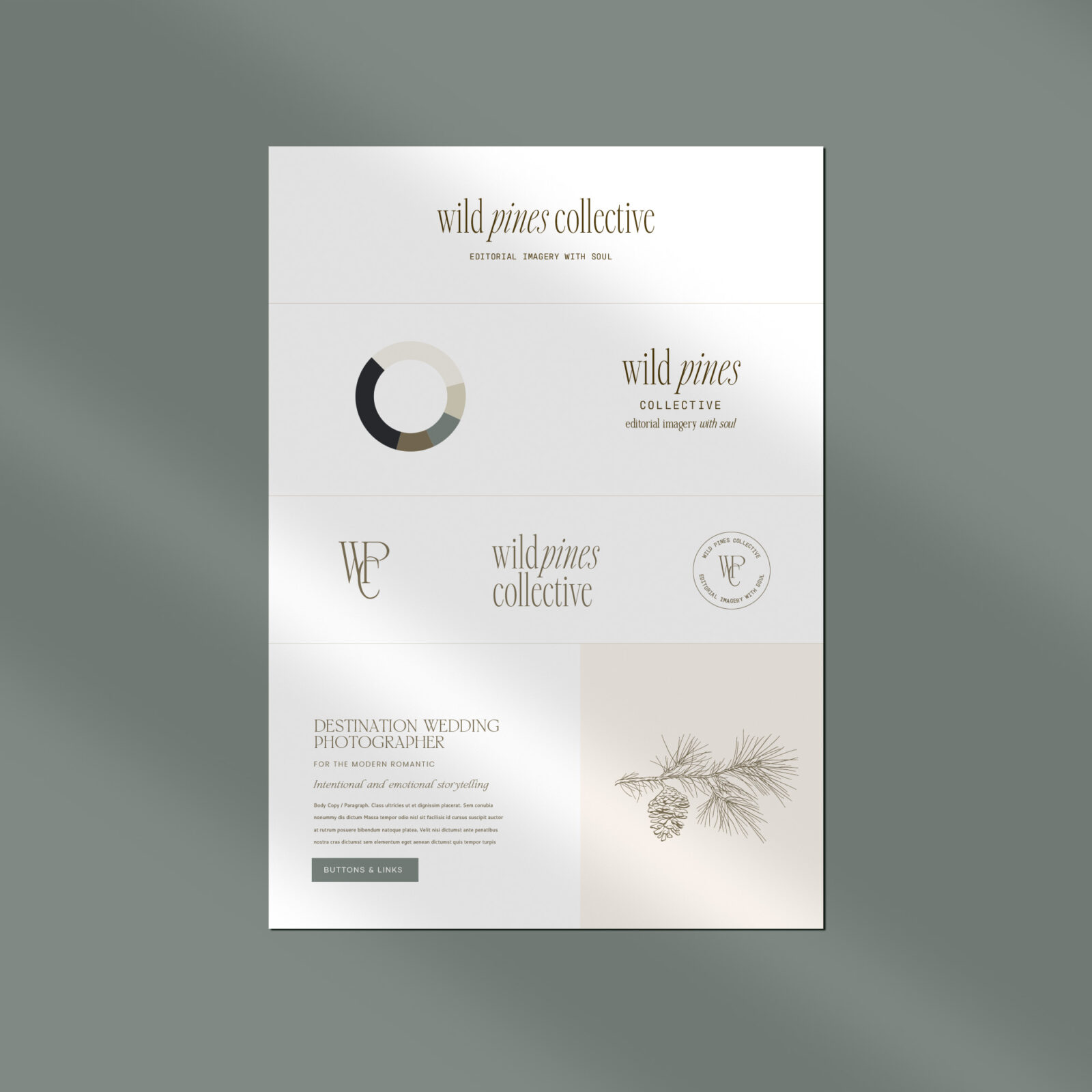 Earthy Brand Identity for Photographer Wild Pines Collective