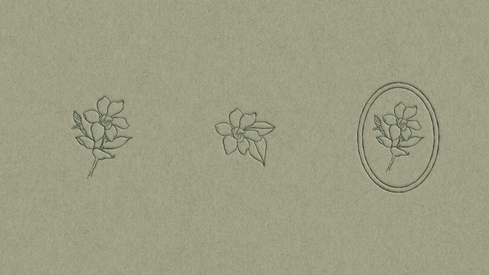 Branding for Interior Designer Ashley Wells Design